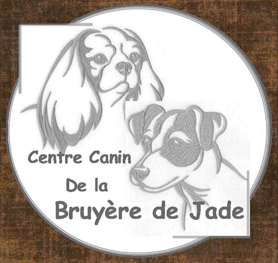 Retraités - Elevage de la bruyère de jade - eleveur de chiens Cavalier ...